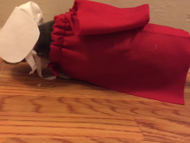 About Me – Dr. Jen Gunter